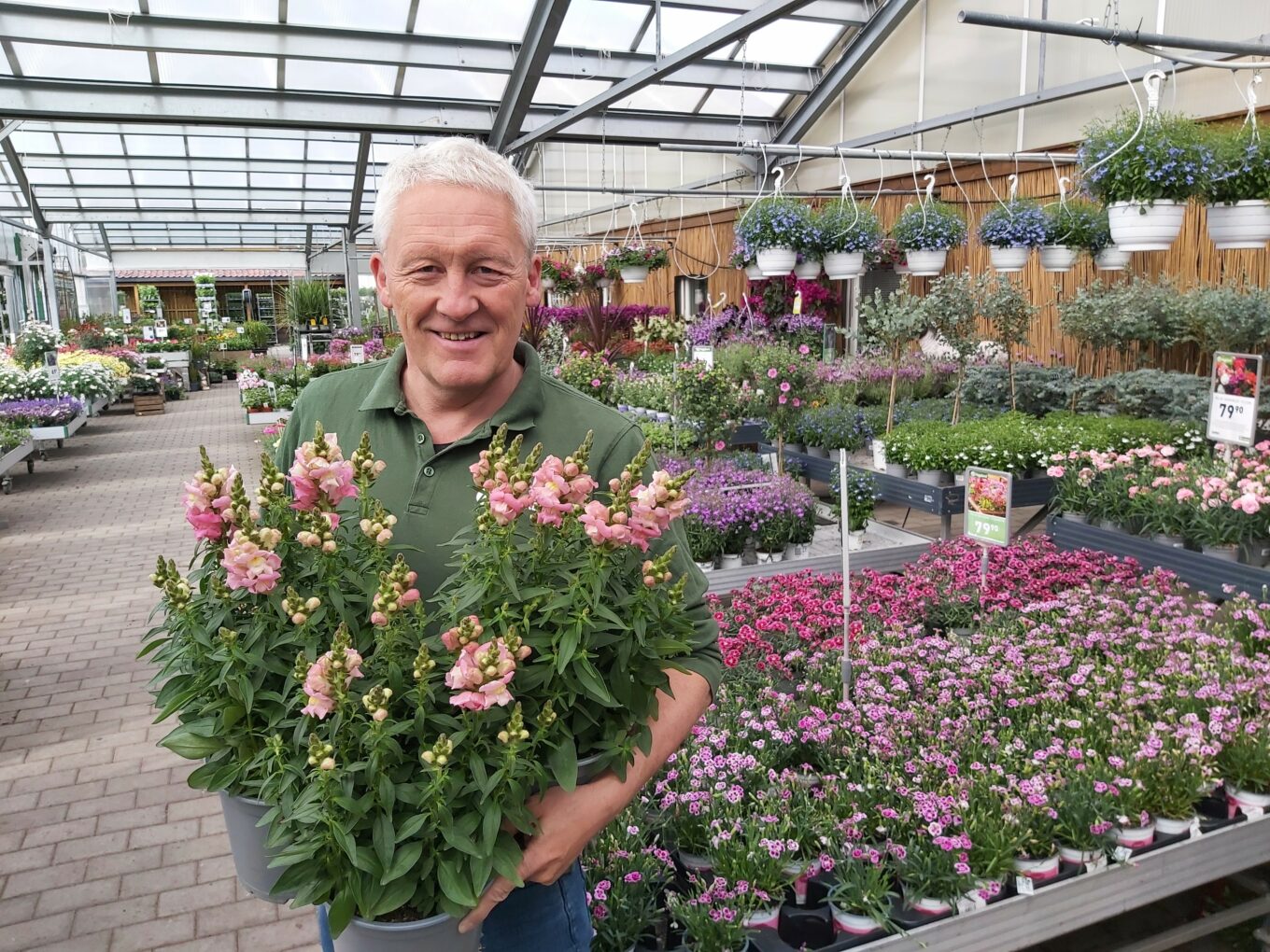 Tilbake til normalen - Normisjon